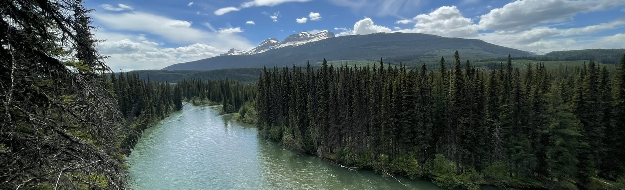 Monkman Lake Trail, British Columbia, Canada - 48 Reviews, Map | AllTrails