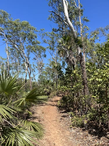 Best Hikes and Trails in Holmes Jungle Nature Reserve | AllTrails