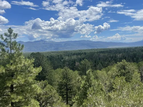 10 Best Hikes and Trails in San Isabel National Forest | AllTrails