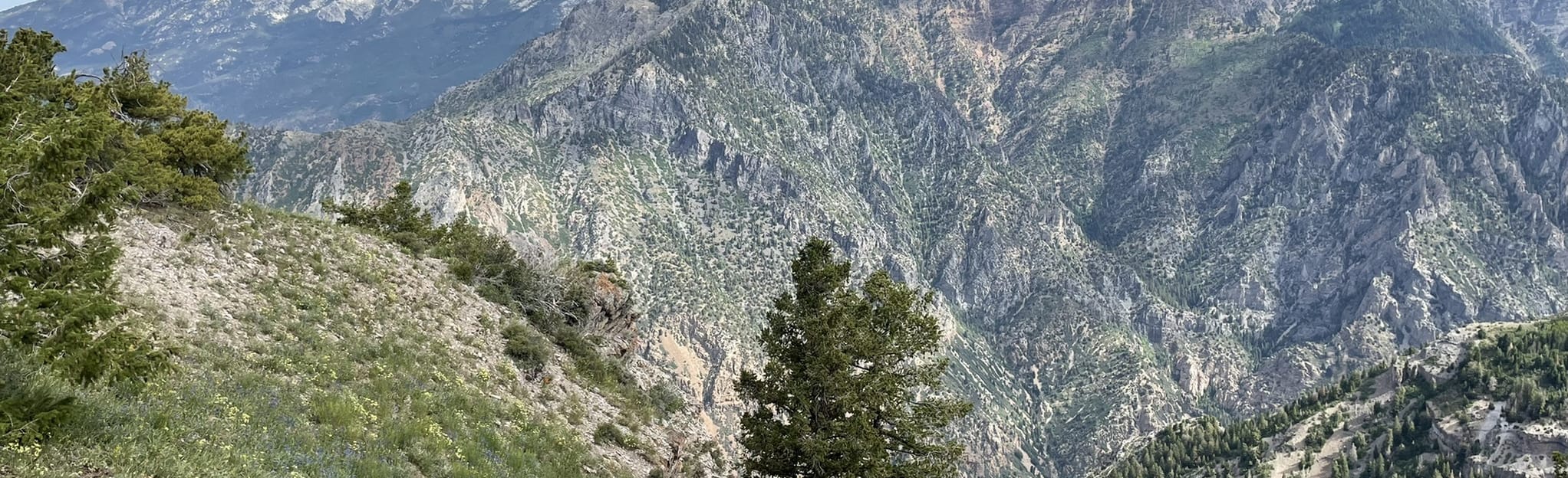 Mahogany Mountain North Peak Trail, Utah - 228 Reviews, Map | AllTrails