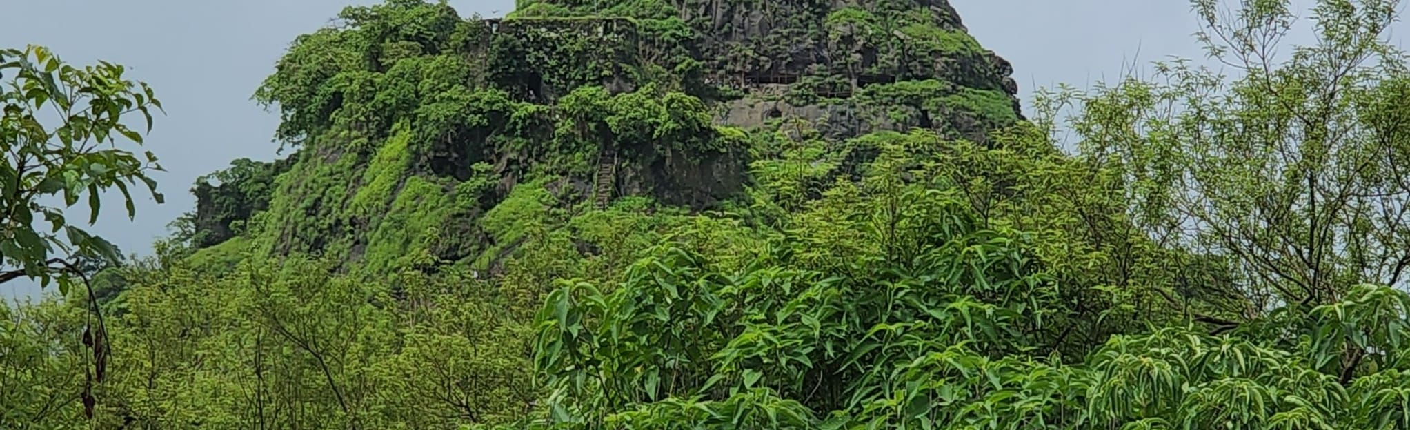 Karnala Trail: 14 Reviews, Map - Maharashtra, India | AllTrails