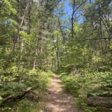 Butler Rock, Wisconsin - 113 Reviews, Map | AllTrails