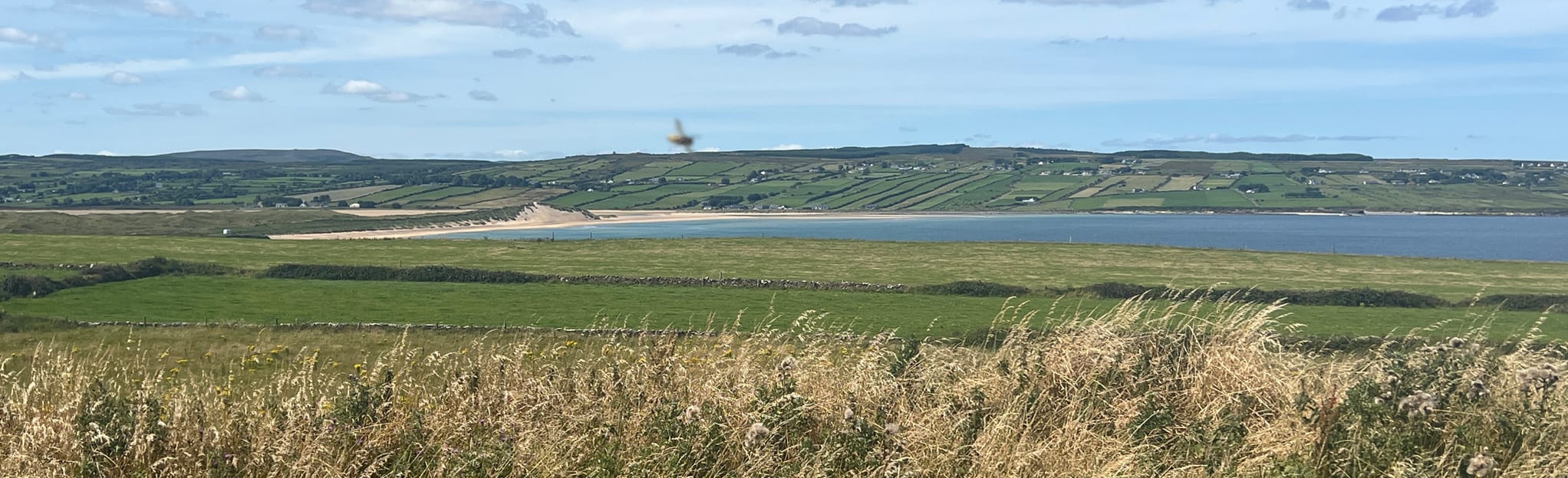 Kilcummin Loop Walks - Blue Loop, County Mayo, Ireland - 3 Reviews, Map ...