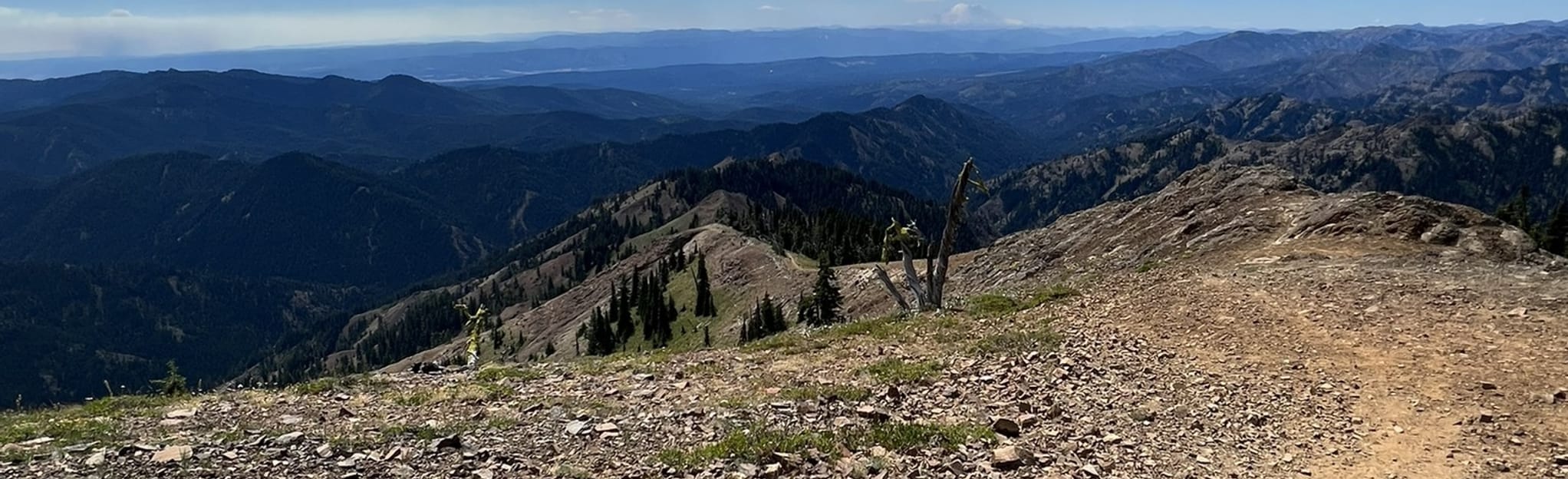 Miller Peak Trail : 141 Reviews, Map - Washington | AllTrails