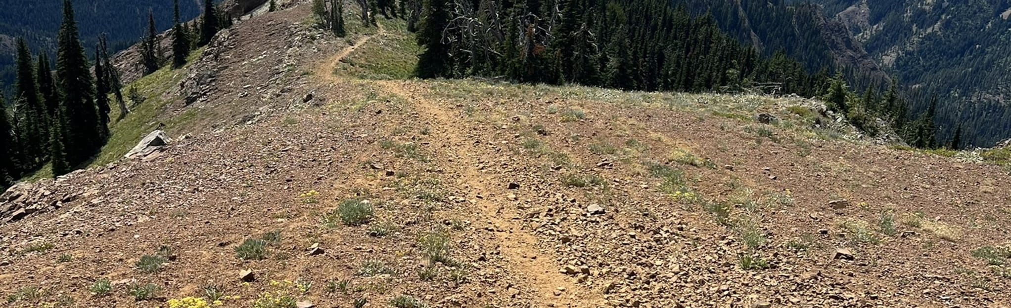 Miller Peak Trail, Washington - 4 Reviews, Map | AllTrails