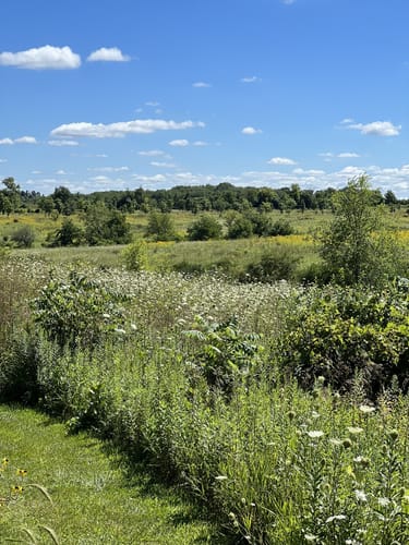 Best Hikes and Trails in Linn Nature Park | AllTrails