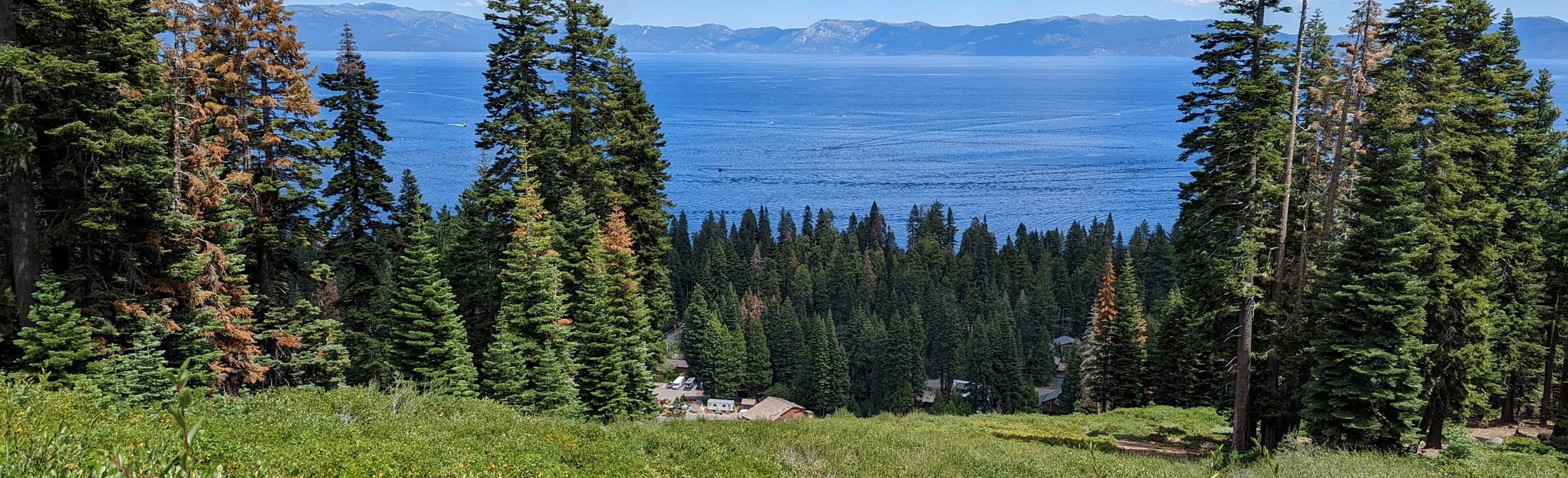 Homewood Mountain Ski Resort, California - 42 Reviews, Map | AllTrails