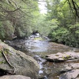 Pase Point Trail, West Virginia - 254 Reviews, Map | AllTrails