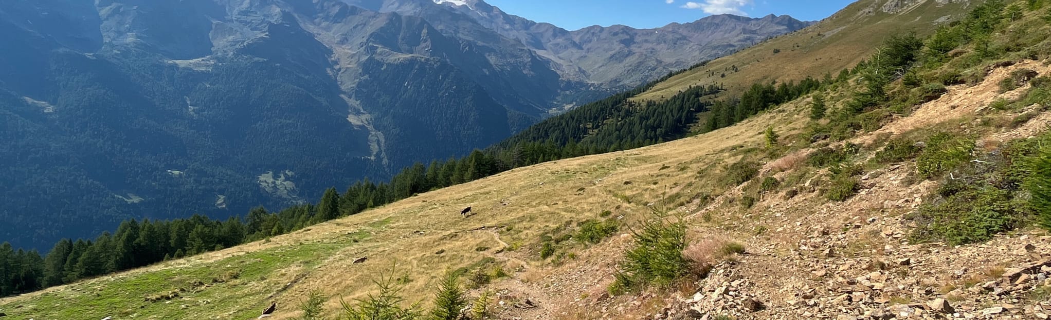 Sentiero Italia, C02: Peio - Passo Cercena - Bagni di Rabbi: 33 fotos ...