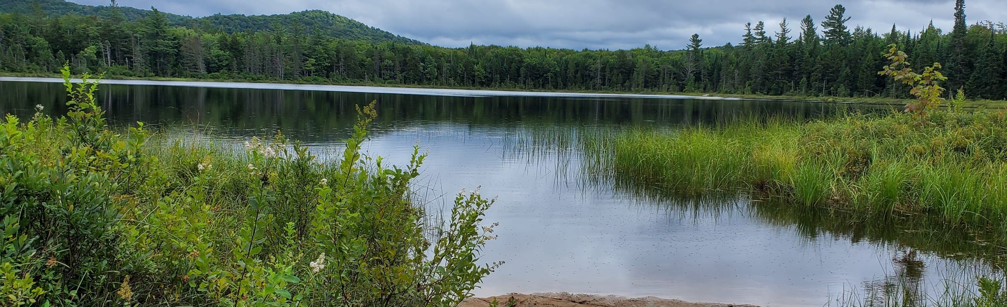 Wheeler Pond Loop, New York - 54 Reviews, Map | AllTrails