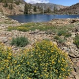 Twenty Lakes Basin Loop, California - 383 Reviews, Map | AllTrails