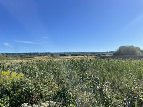 Best Hikes and Trails in Boundary Bay Regional Park | AllTrails