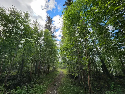 Best Hikes and Trails in Paint Lake Provincial Park | AllTrails