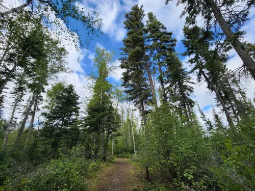 Best Hikes and Trails in Paint Lake Provincial Park | AllTrails