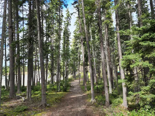 Best Hikes and Trails in Paint Lake Provincial Park | AllTrails
