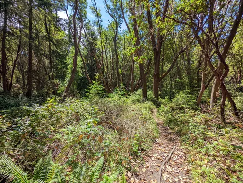 Best Hikes and Trails in Miller Peninsula State Park | AllTrails