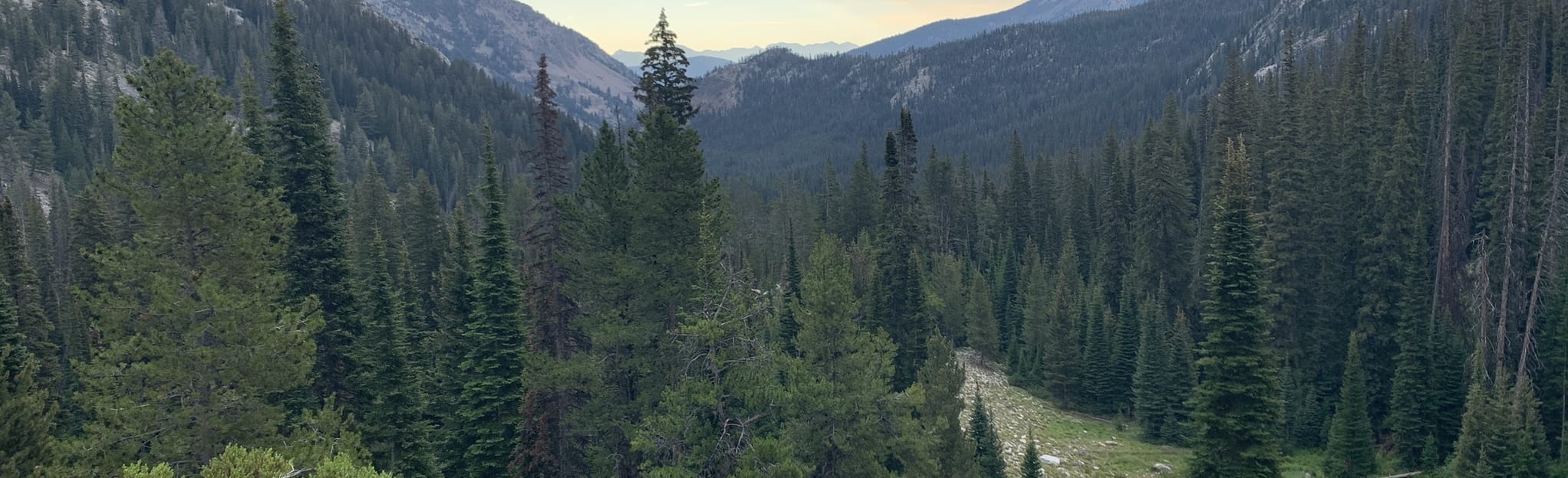 Alpine Creek Trail: 119 Reviews, Map - Idaho | AllTrails
