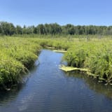 Bearskin State Trail, Wisconsin - 261 Reviews, Map | AllTrails