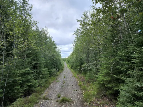 Best Hikes and Trails in Paint Lake Provincial Park | AllTrails