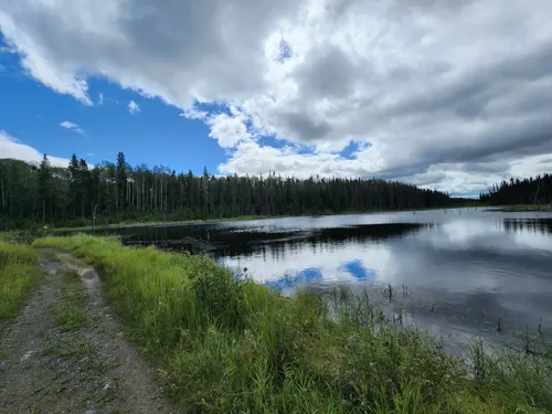 Best Hikes and Trails in Paint Lake Provincial Park | AllTrails