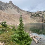 Baker Lake Trail, Idaho - 348 Reviews, Map | AllTrails
