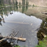 Baker Lake Trail, Idaho - 348 Reviews, Map | AllTrails