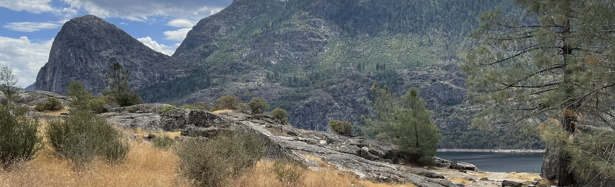 Beehive Meadow Trail - California | AllTrails