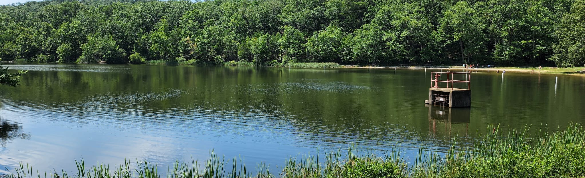 McKamy Lake Trail Loop - Tennessee | AllTrails