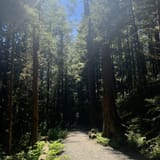 Ward Lake Trail, Alaska - 137 Reviews, Map | AllTrails