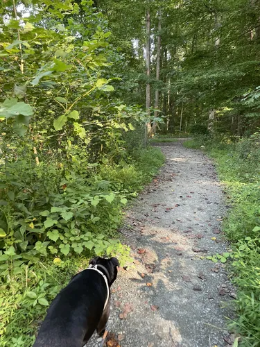 Best Hikes and Trails in Nottoway Park | AllTrails