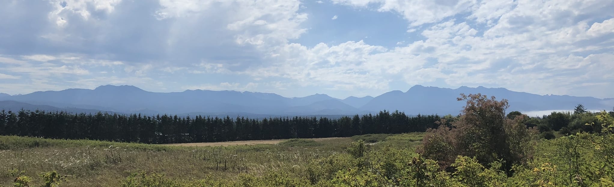 Dungeness Recreation Trail: 69 Reviews, Map - Washington | AllTrails