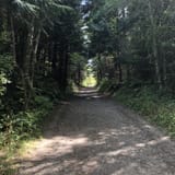 Dungeness Recreation Trail, Washington - 78 Reviews, Map | AllTrails