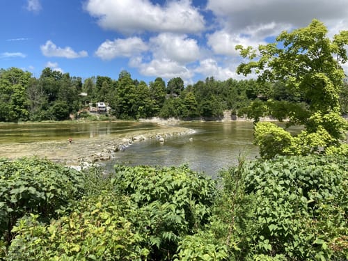 2023 Best Forest Trails in Goderich | AllTrails