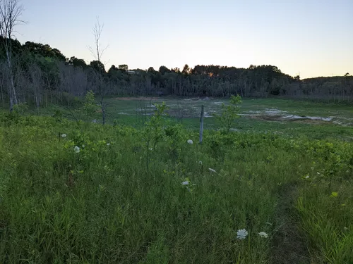 Best Hikes and Trails in Mystery Valley Karst Preserve | AllTrails