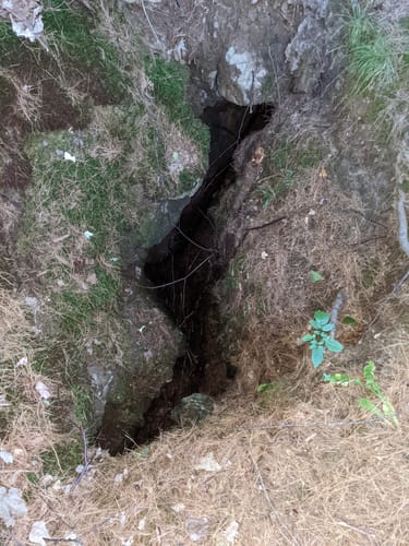 Best Hikes and Trails in Mystery Valley Karst Preserve | AllTrails