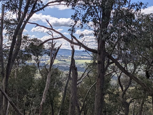 Best Hikes and Trails in Lal Lal State Forest | AllTrails