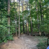 Provin Park Trail, Michigan - 750 Reviews, Map | AllTrails