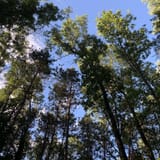 Provin Park Trail, Michigan - 750 Reviews, Map | AllTrails