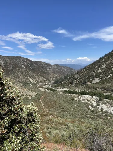10 Best Trails and Hikes in Lytle Creek | AllTrails