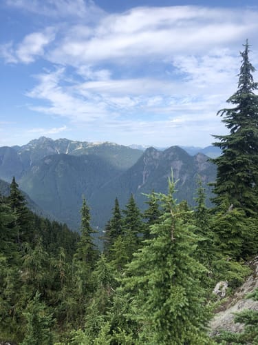 Best 10 Hikes and Trails in Grouse Mountain Park | AllTrails