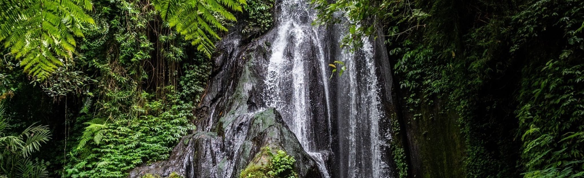Tangkup Waterfall, Bali, Indonesia - 6 Reviews, Map | AllTrails