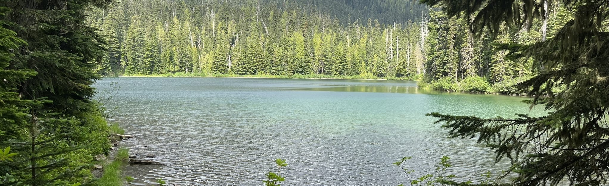 Grand Park via Lake Eleanor Trail: 512 fotos - Washington | AllTrails