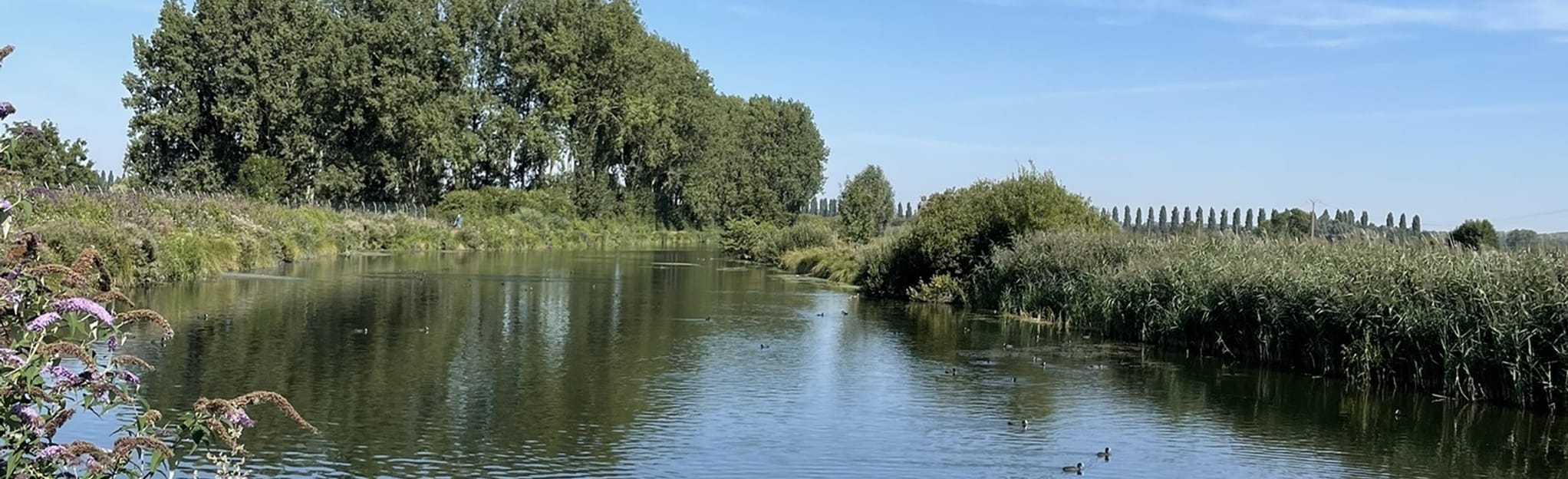 Voie Verte de la Scarpe Inférieure: Douai - Vred - Nord, France | AllTrails