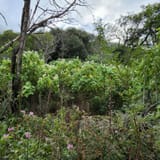 George Dam Trail, Western Cape, South Africa - 8 Reviews, Map | AllTrails