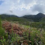 George Dam Trail, Western Cape, South Africa - 8 Reviews, Map | AllTrails