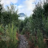 George Dam Trail, Western Cape, South Africa - 8 Reviews, Map | AllTrails