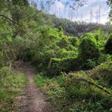 George Dam Trail, Western Cape, South Africa - 8 Reviews, Map | AllTrails