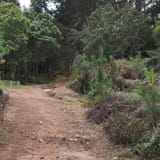 George Dam Trail, Western Cape, South Africa - 8 Reviews, Map | AllTrails