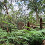 George Dam Trail, Western Cape, South Africa - 8 Reviews, Map | AllTrails