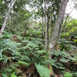 George Dam Trail, Western Cape, South Africa - 8 Reviews, Map | AllTrails